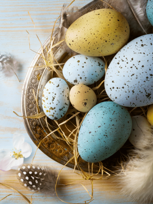 The Fleet Hotel Official Site | Temple Bar Dublin Hotels